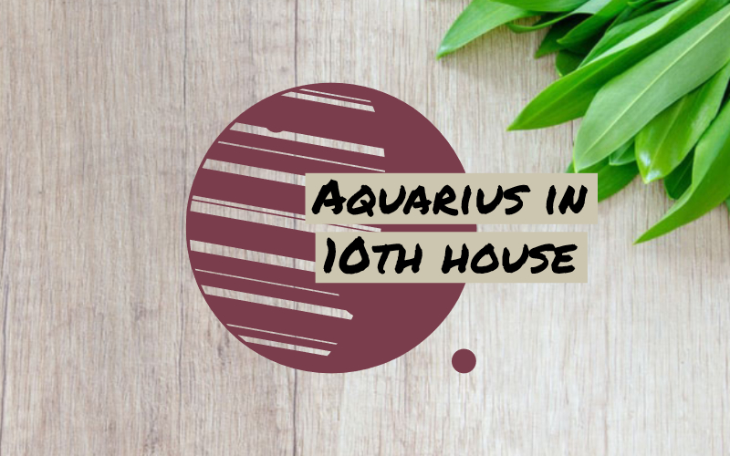 Aquarius in 10th House: Practical Contributions