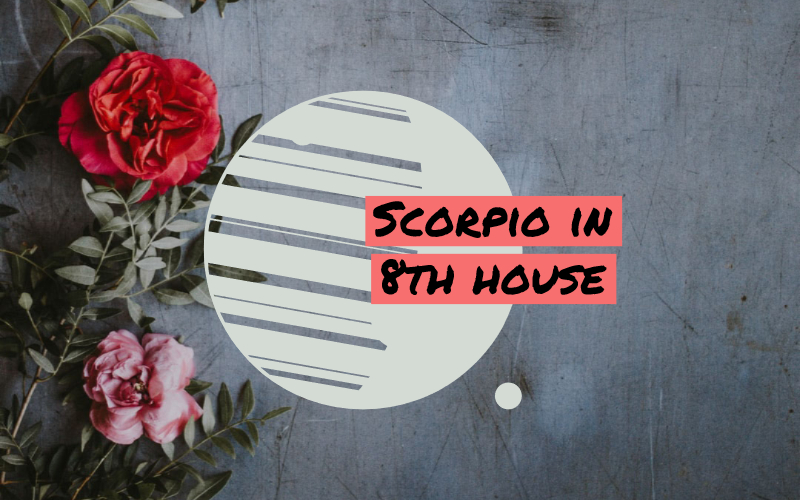Scorpio in 8th House: An Eye for the Subtle