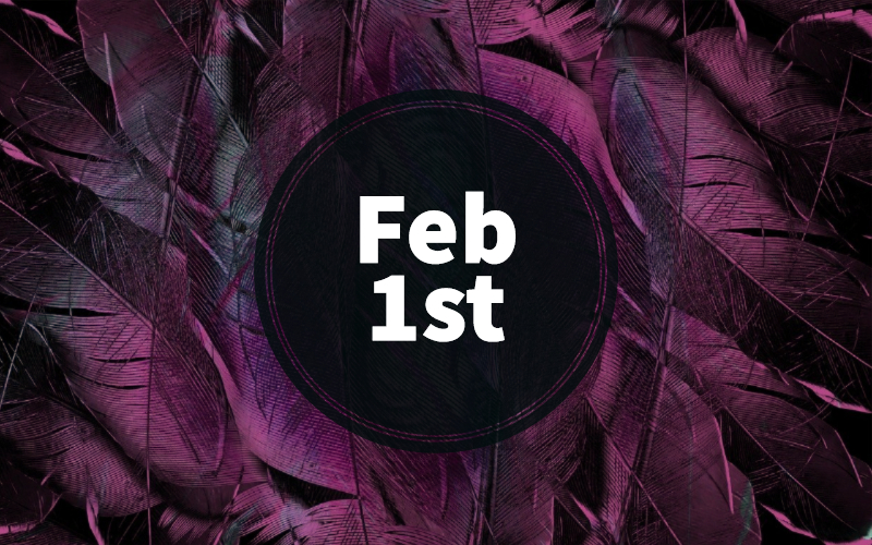 February 1st Zodiac — Aquarius Traits, Love Life, Career & More