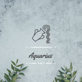 February 5th Zodiac — Aquarius Traits, Love Life, Career & More