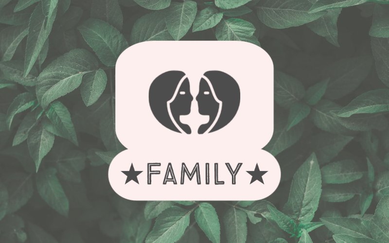 Gemini Family Life: Their Personality in the Main Household Roles