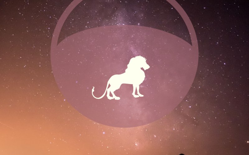 Leo Man Personality: From Love to Career and Social Life