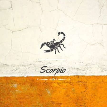 Scorpio Family Life: Their Personality in the Main Household Roles