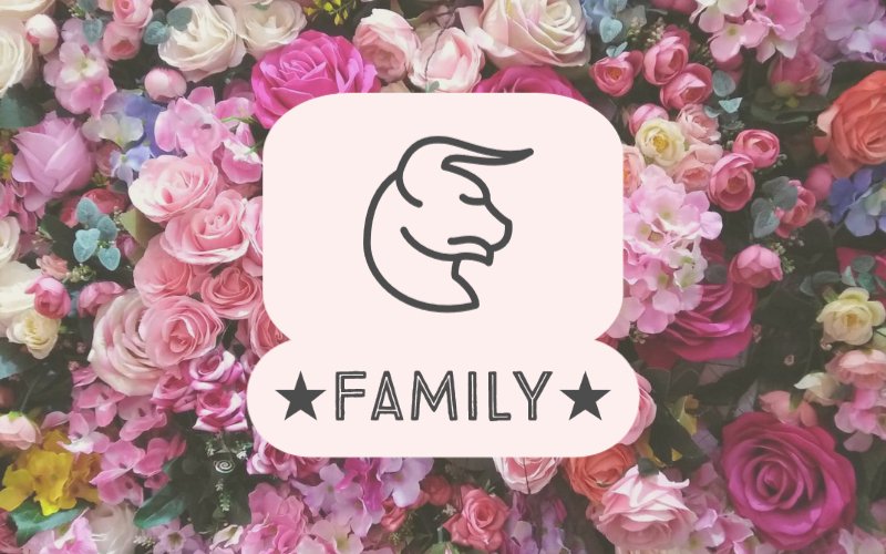Taurus Family Life: Their Personality in the Main Household Roles