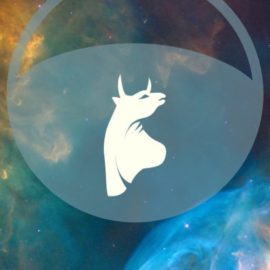 May 14th Zodiac: Complete Horoscope Profile
