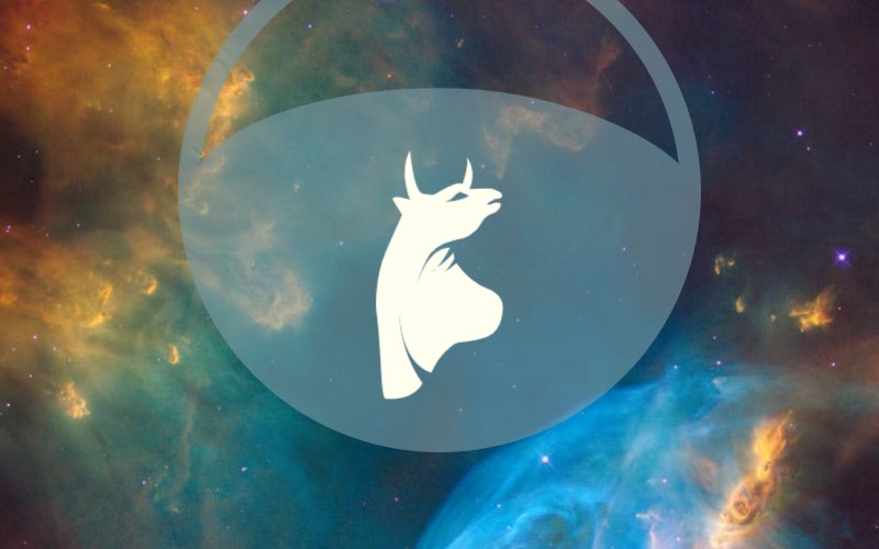 Taurus Man Personality: From Love to Career and Social Life